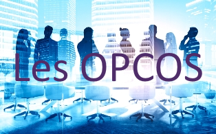 Les OPCOS – DB Conseil SAS
